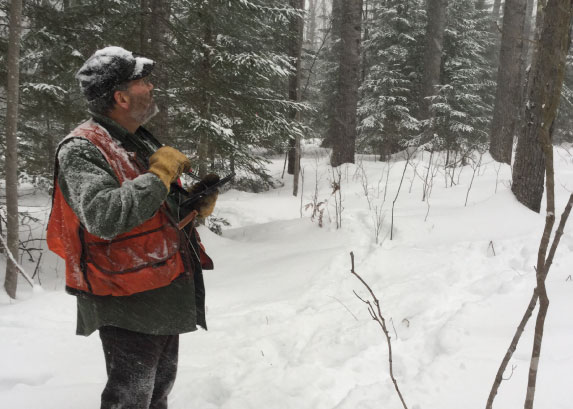 Forest Landowners | Wisconsin DNR