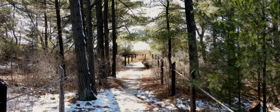 Wisconsin Department of Natural Resources (DNR) | Wisconsin DNR